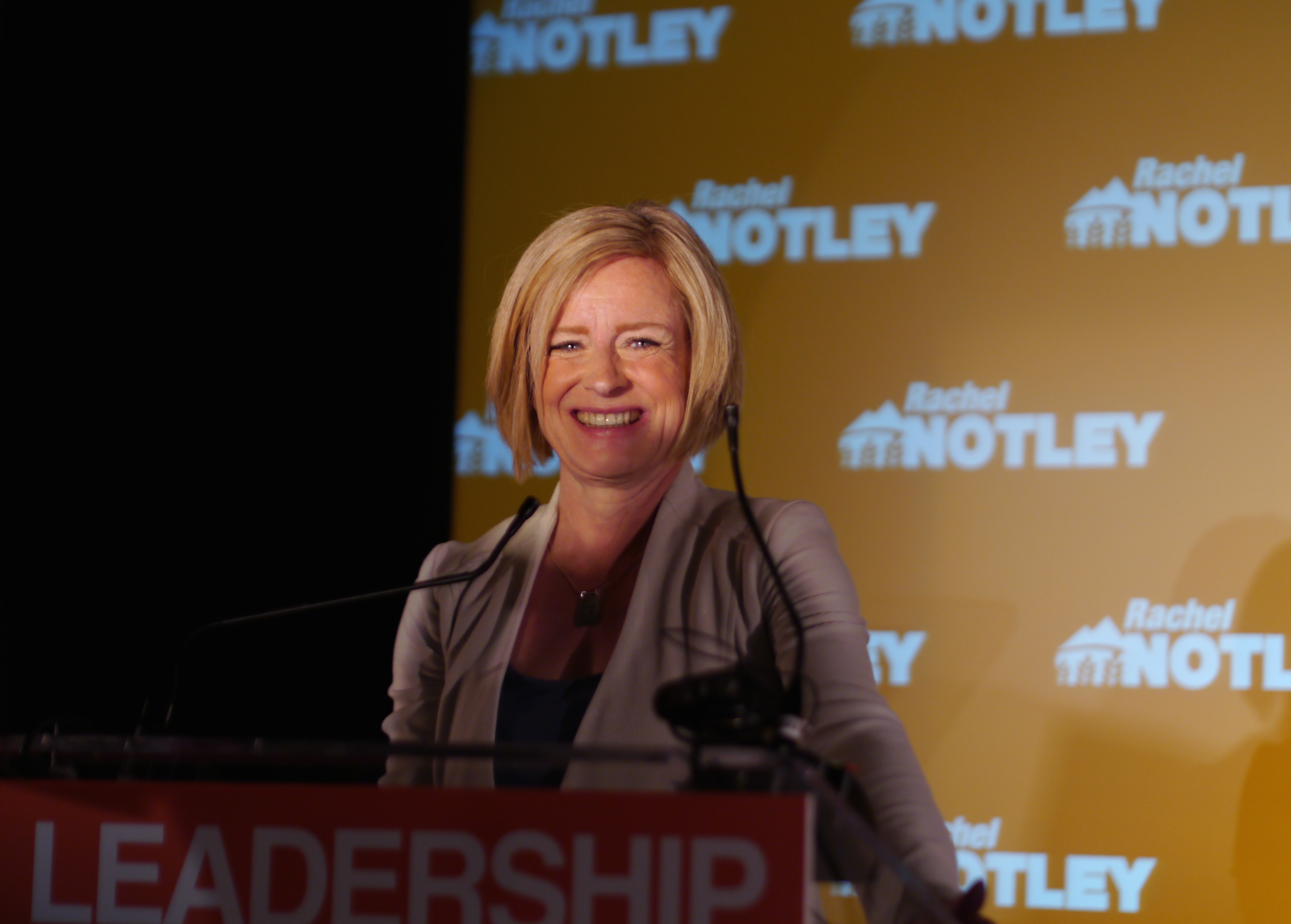 Free advice to Senator Paula Simons: When in doubt, don’t file an ...