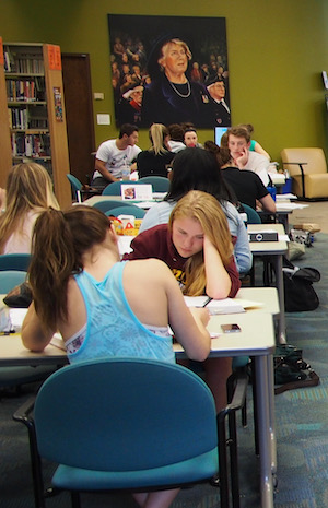 St. Albert’s city administration contravened Libraries Act by modifying ...