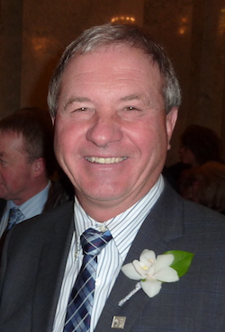 Conservative Danielle Smith vows to dismantle Alberta Health Services ...